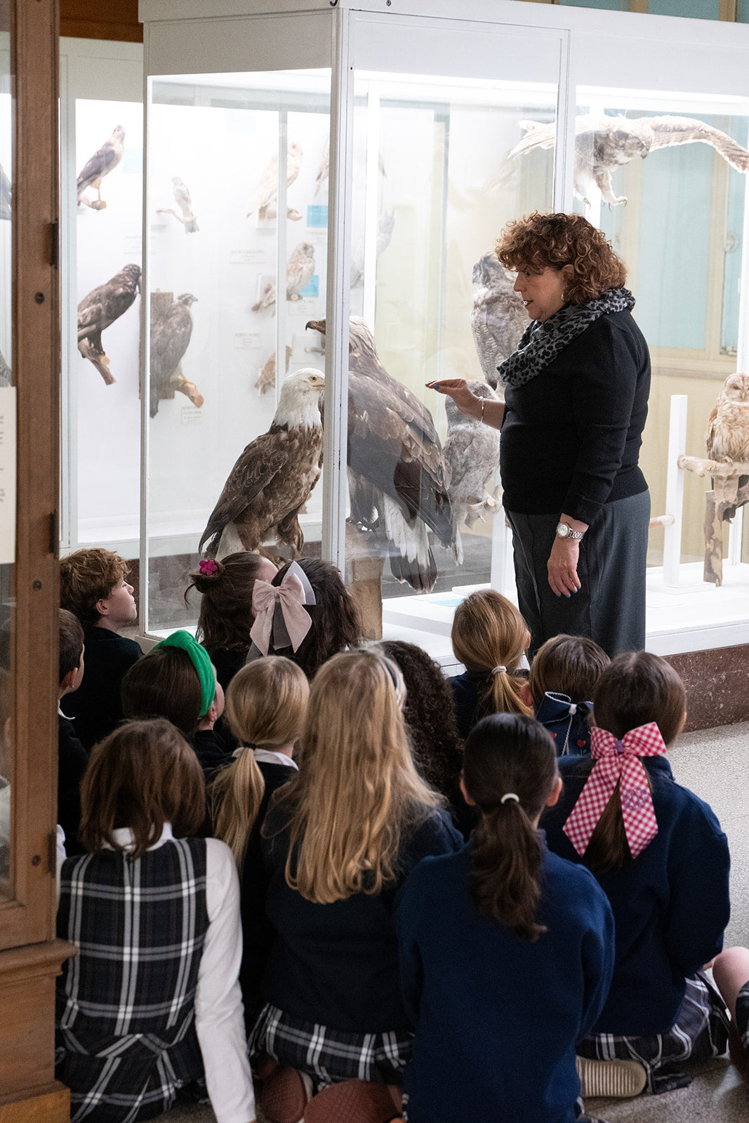 2025 Annual Appeal – Everhart Museum