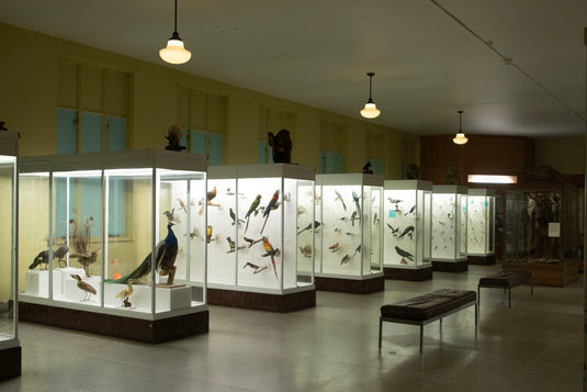 Galleries – Everhart Museum